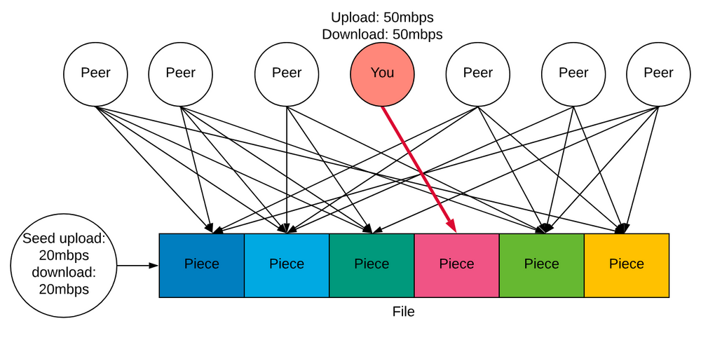 How Does BitTorrent Work? A Plain English Guide