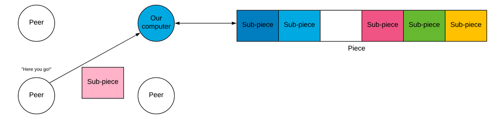 How Does BitTorrent Work? A Plain English Guide
